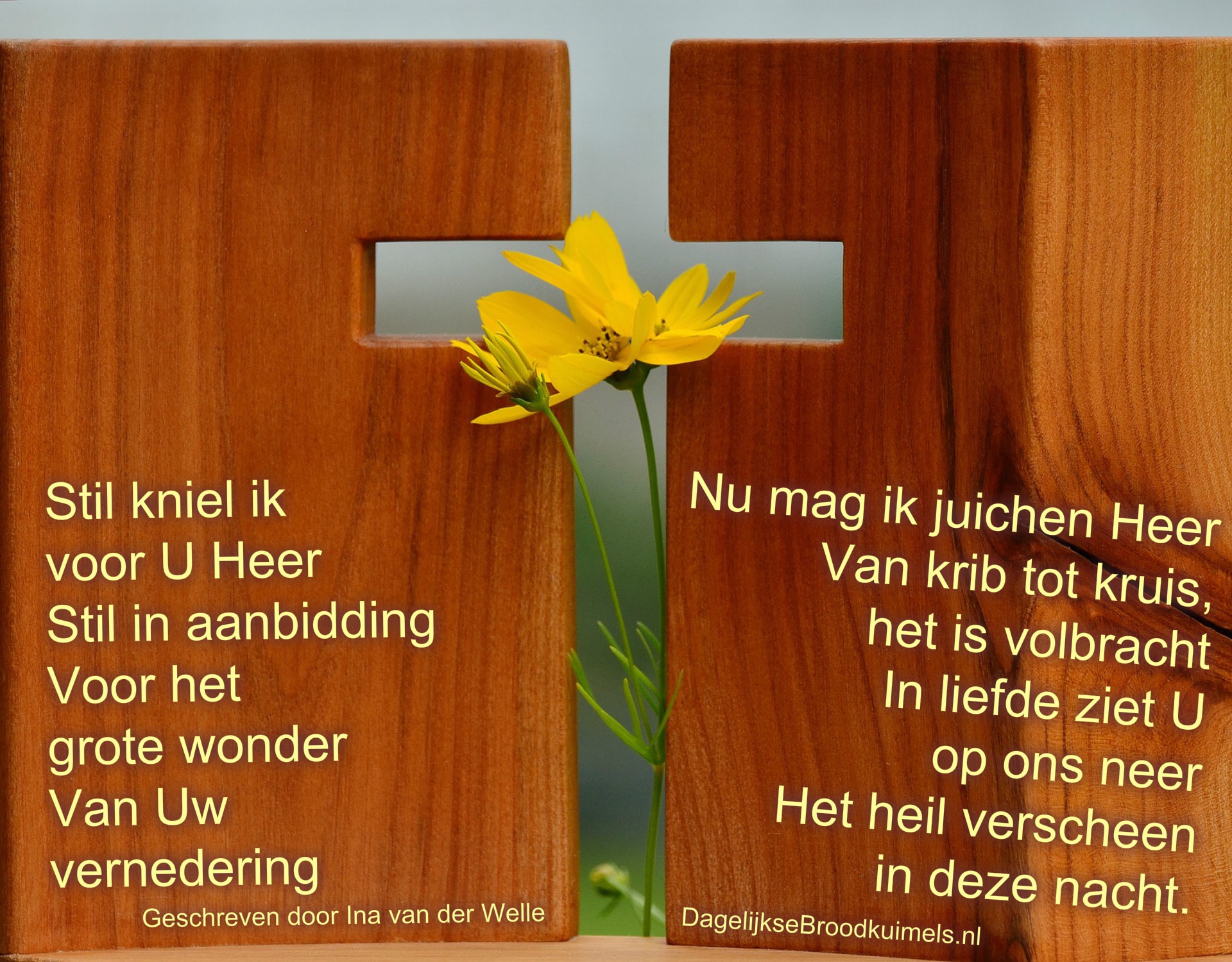 Aanbidding – Love Heals All Things