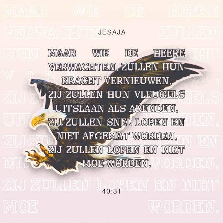 Nieuwe kracht.. – Love Heals All Things